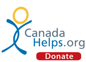 Niwasa Kendaaswin Teg – A Multi Service Indigenous Organization